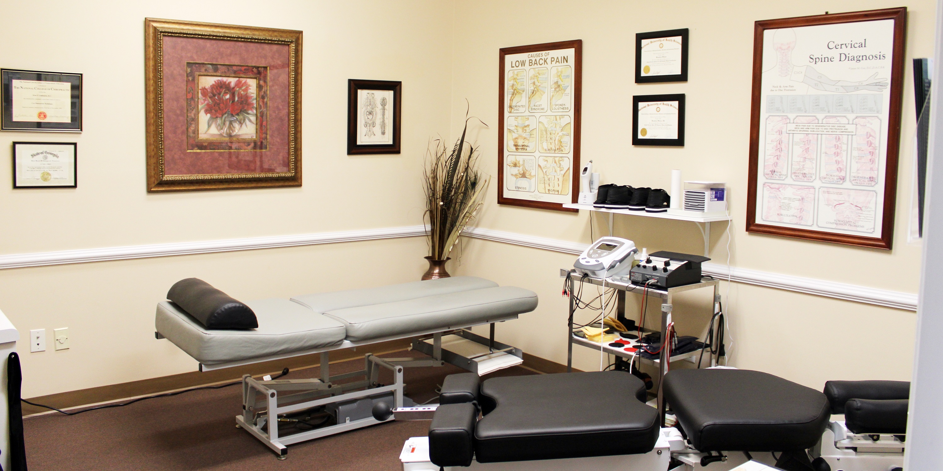 Mountlake Terrace Health News | Mountlake Terrace Chiropractic Clinic